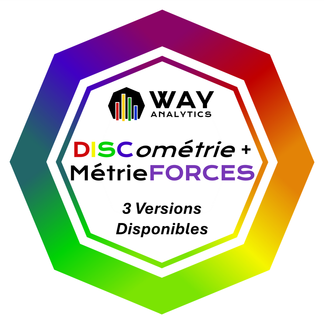 Rapport DISC & Forces Motrices – WAY Analytics